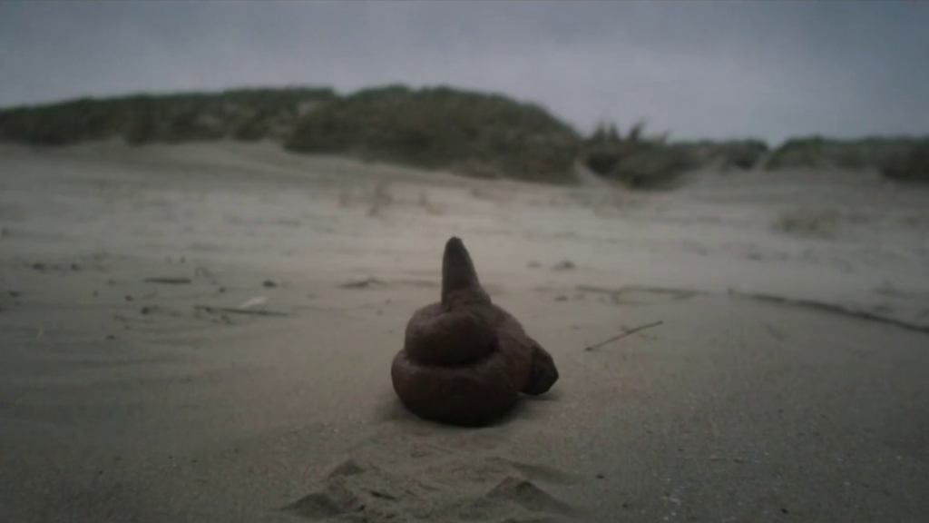 Your poop – Czar Amsterdam